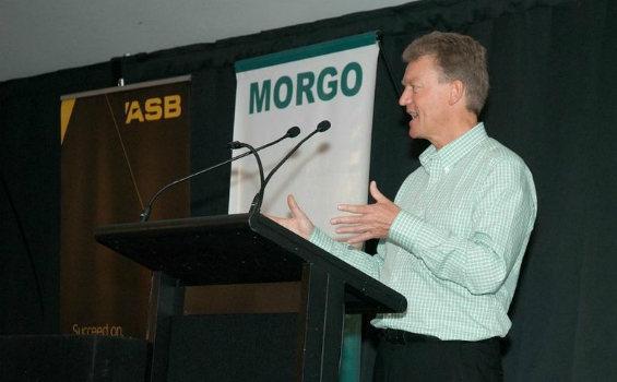 Six themes for success from Morgo | ASB Blog