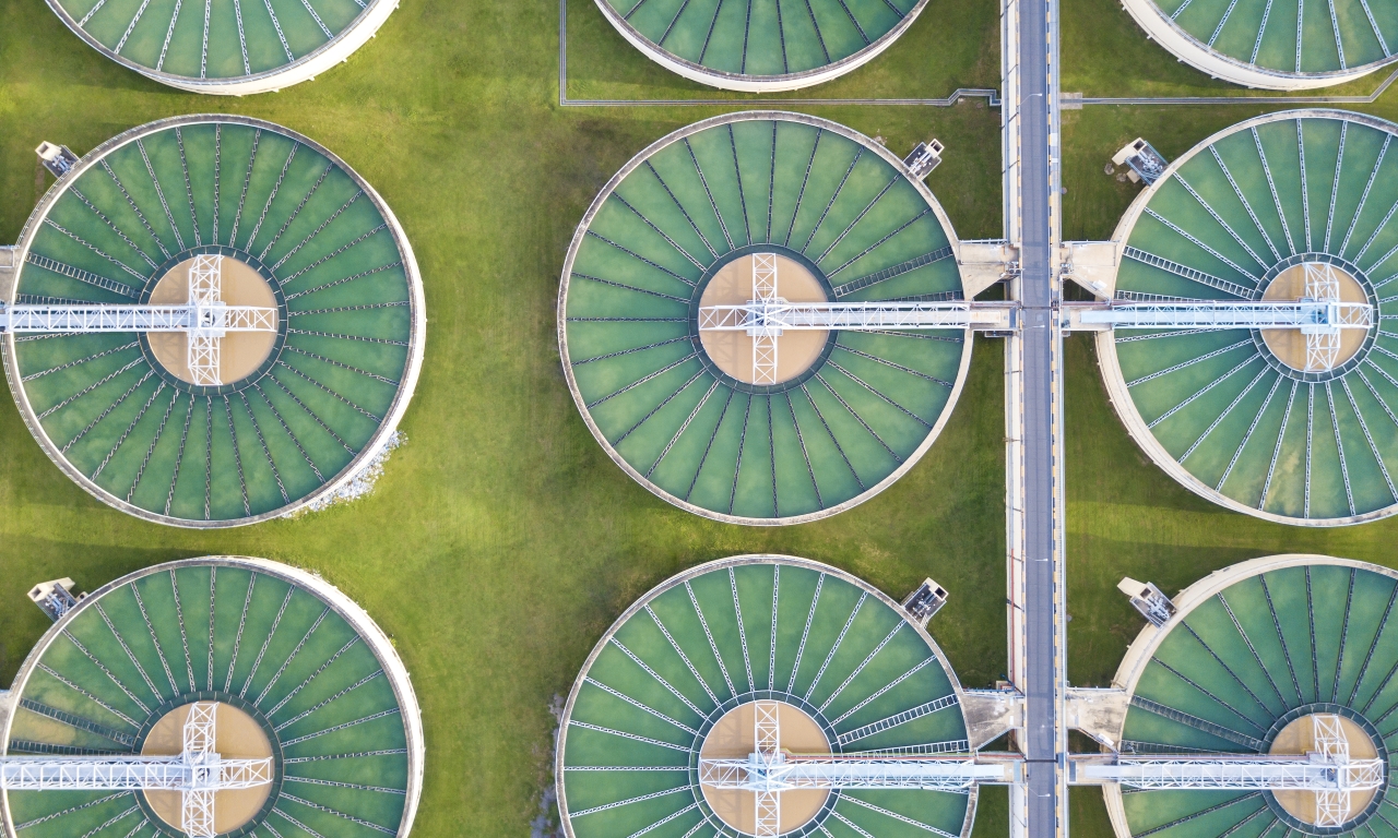 Meet the organisations working for environmental outcomes in our new ...