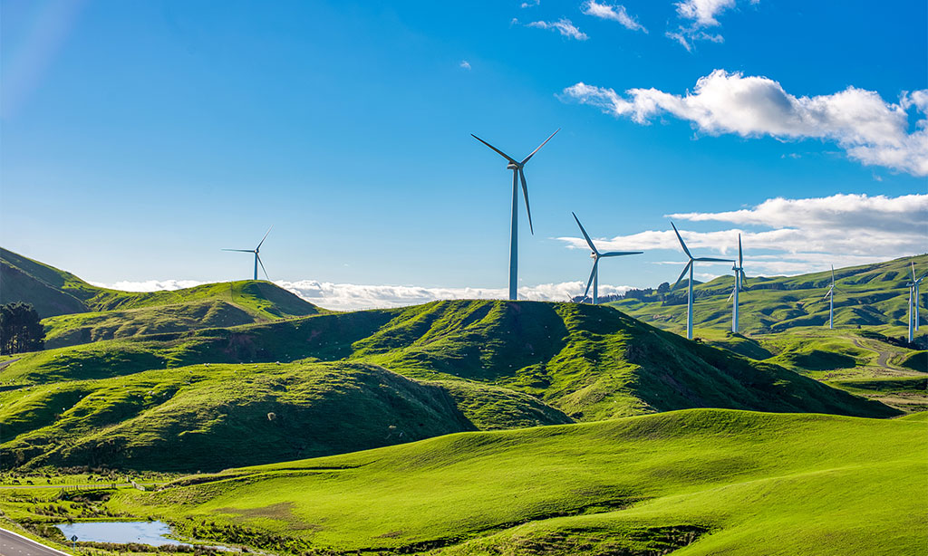 ASB Positive Impact Fund - Responsible investment | ASB Blog
