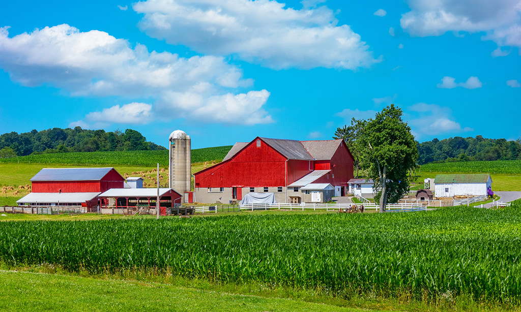 International Agri Insights - Economic Research | ASB