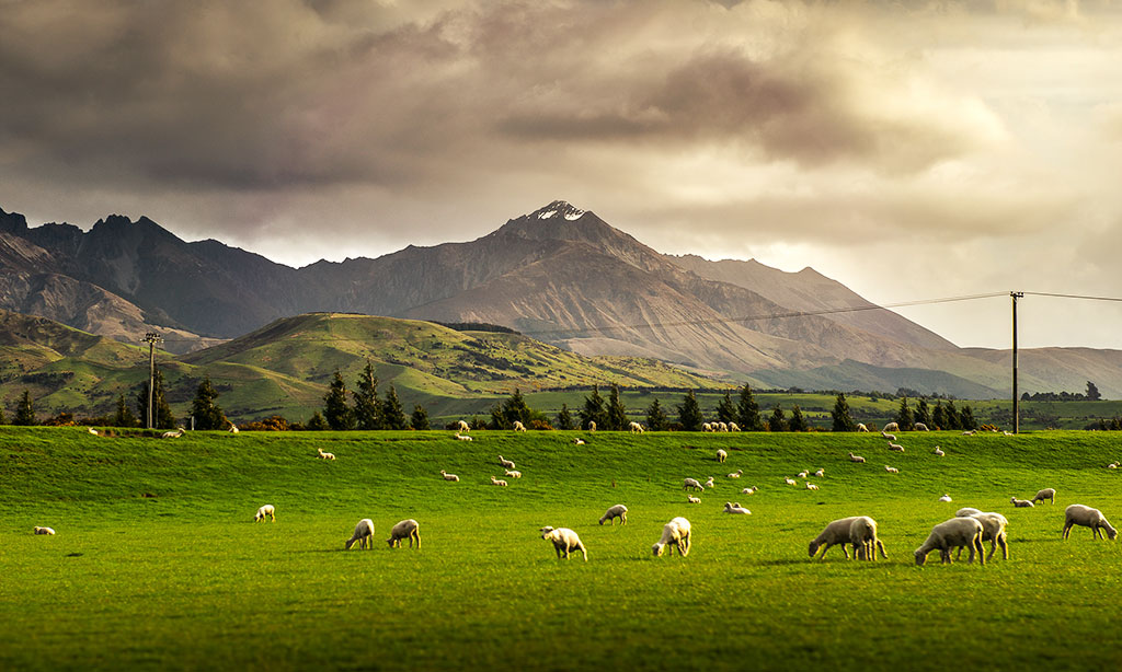 Rural and Regional Reports - Economic Research | ASB