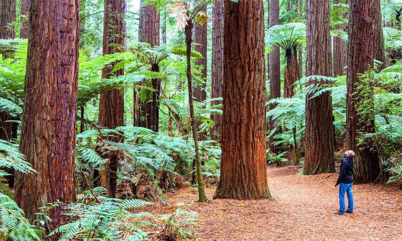 Sustainability at ASB - Reports & plans | ASB