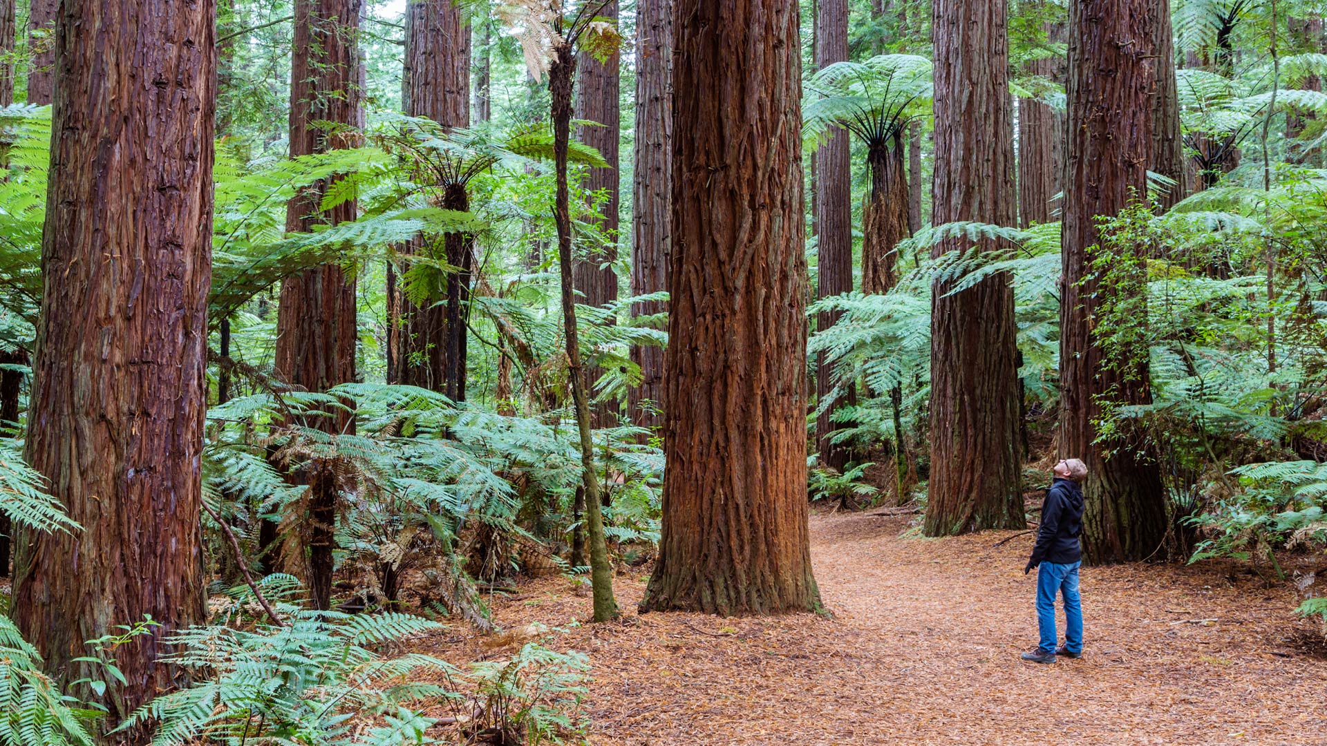 ASB Investment Funds - A range of managed funds | ASB