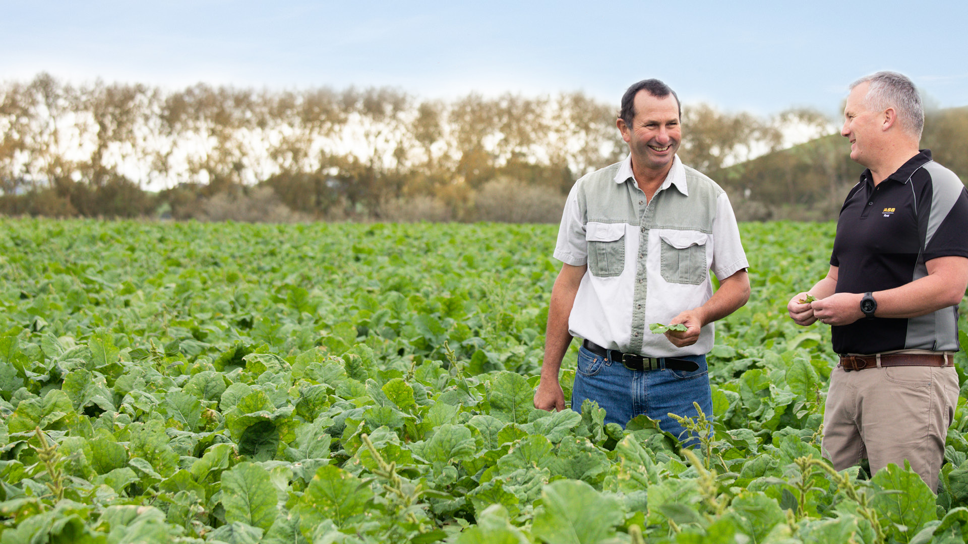 The importance of succession planning for your farm | ASB