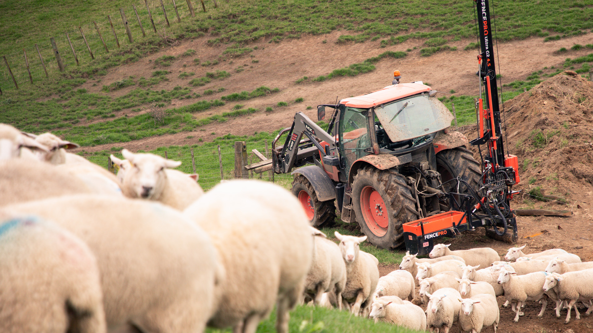 A guide on how to structure your farming business | ASB