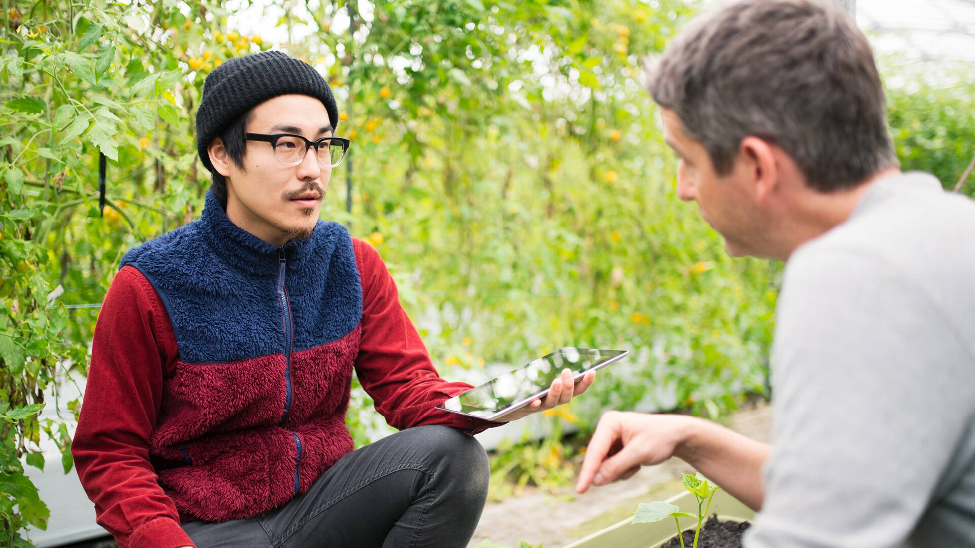 ASB Business Hub - Support to Jumpstart Your Business