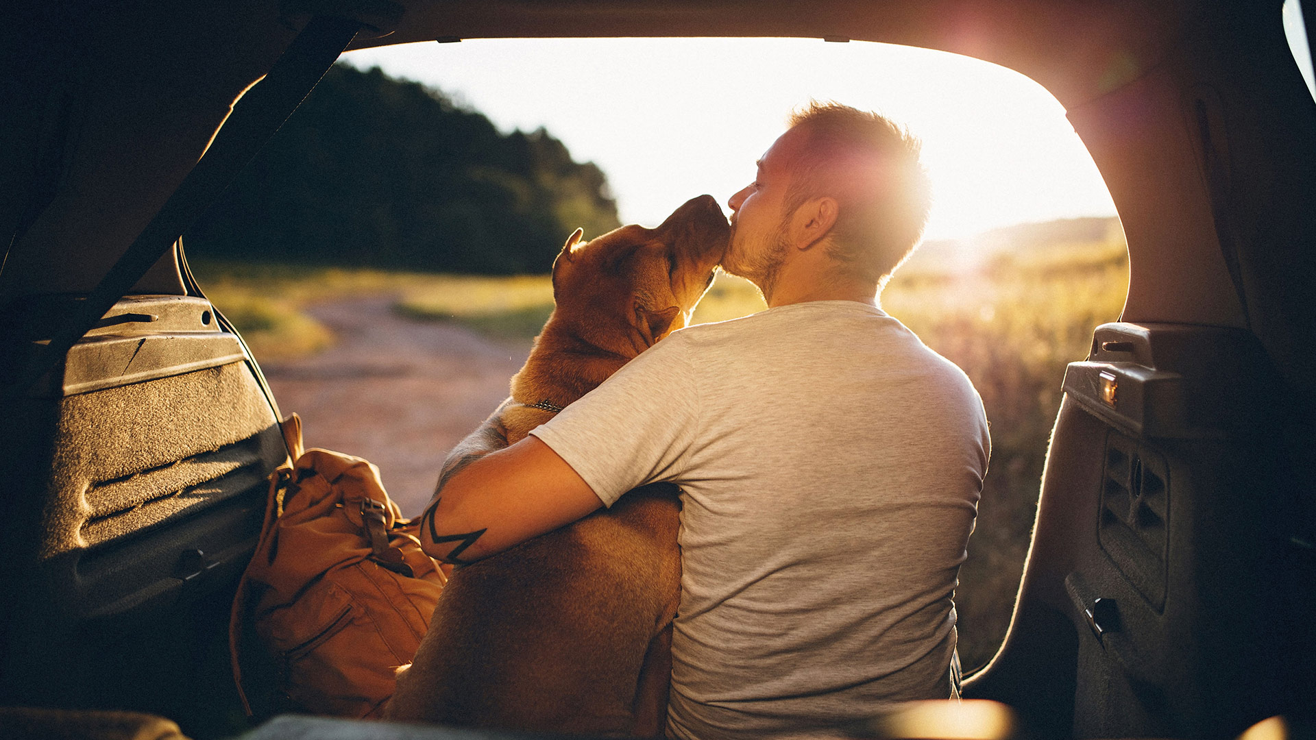 Car Insurance - Get a quote and apply online | ASB