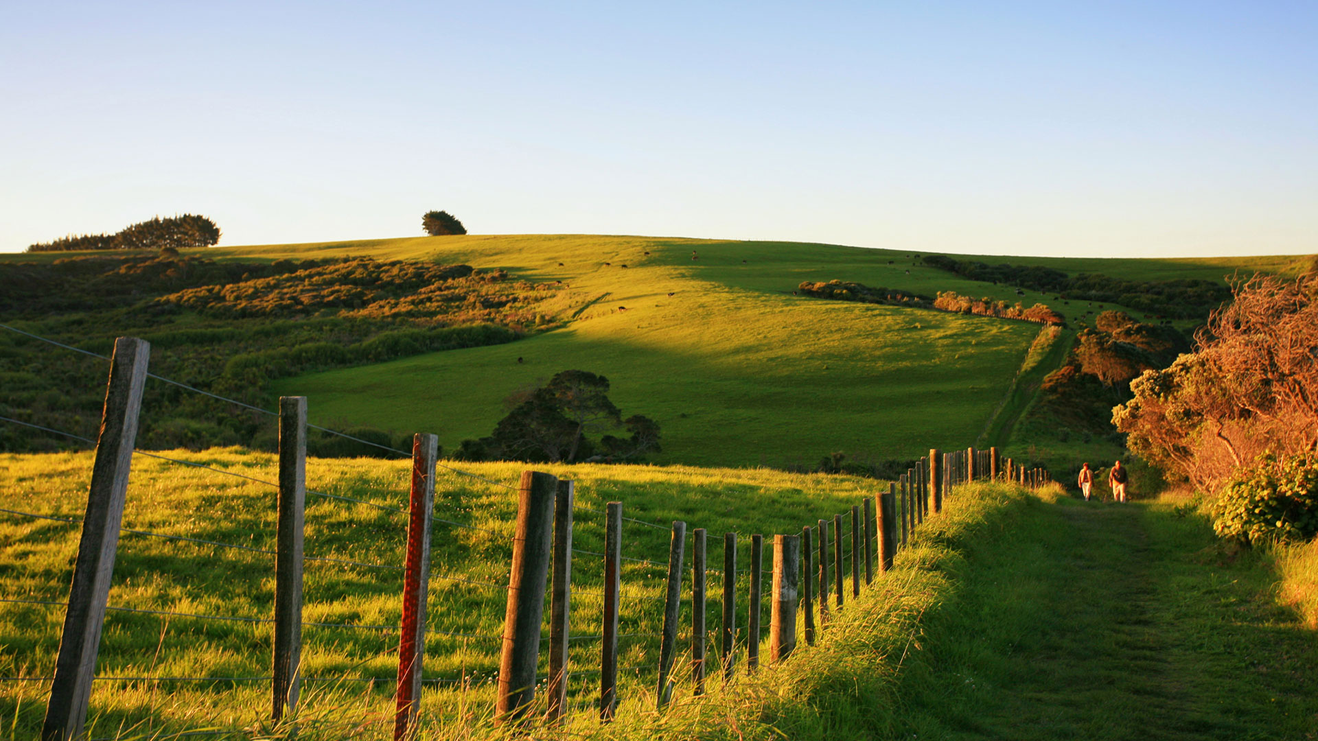 Rural quarterly reports – Get your rural news update | ASB