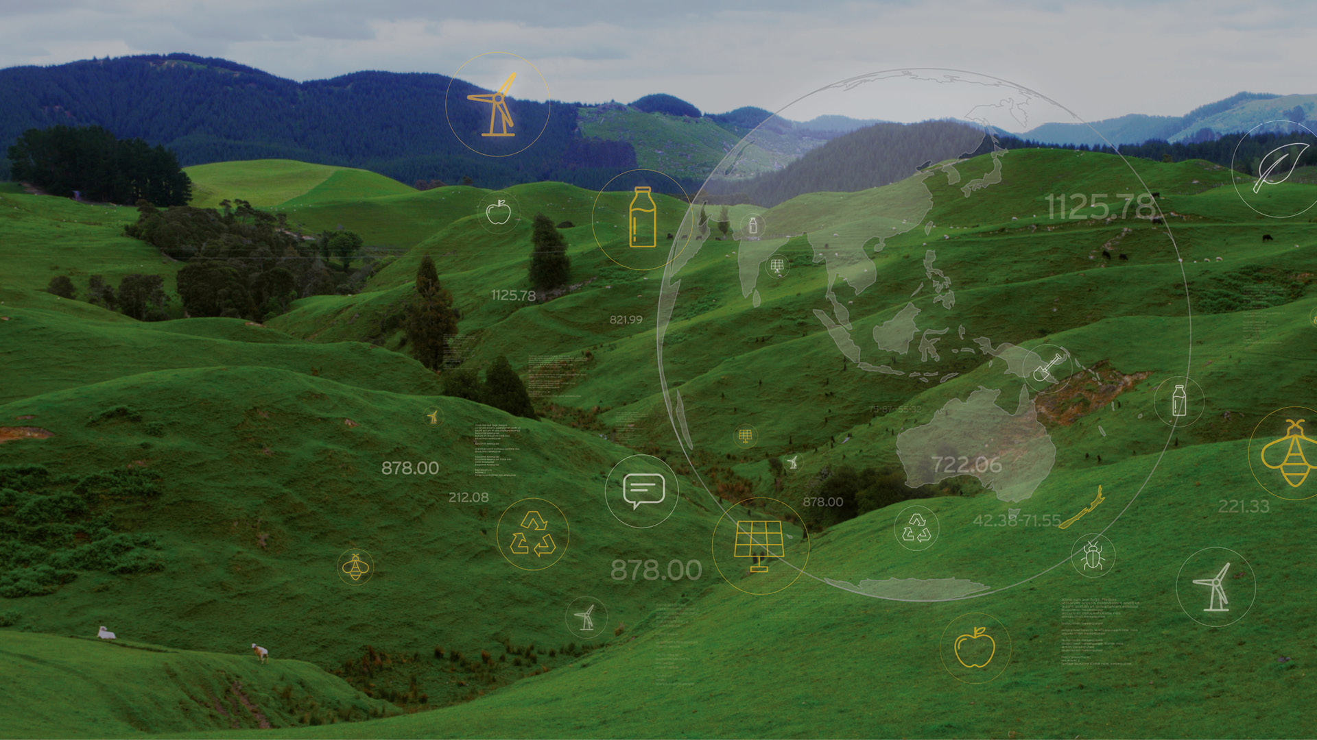 ACCESS - A business programme for growth and success | ASB