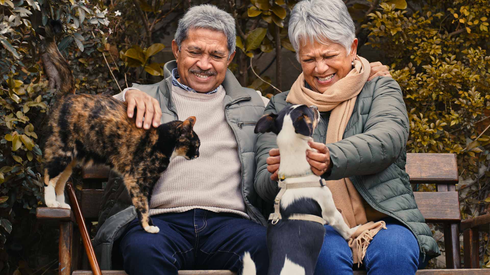 ASB Mobile Banking app compatibility